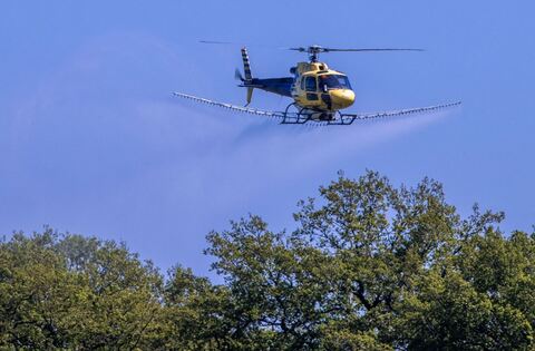 Mit Hubschrauber gegen den Eichenprozessionsspinner - Events - Reutlinger General-Anzeiger - GEA ...