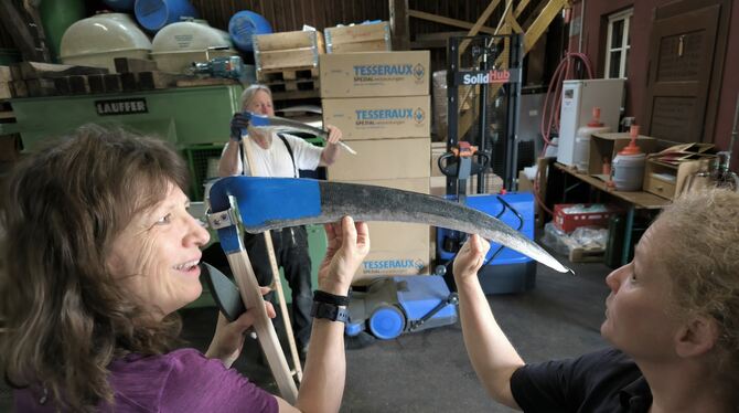 Wie man mit der Sense mäht – ein Erfahrungsbericht aus Glems - Events ...